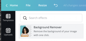 Create an Agent Banner for Your Feature Sheets | Melanie Grey Inc